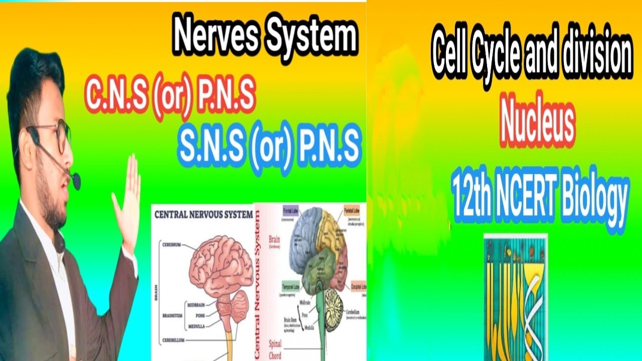 Cell || Nerves System || Somatic Nervous system || Central Nervous ...