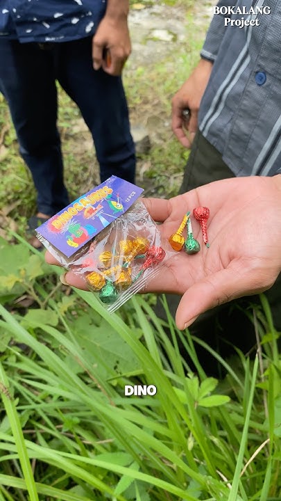Menyalakan Mercon Telur Dino Pretek didalam Rumput Ilalang.😁 #bolang #petualangan #nostalgia ...