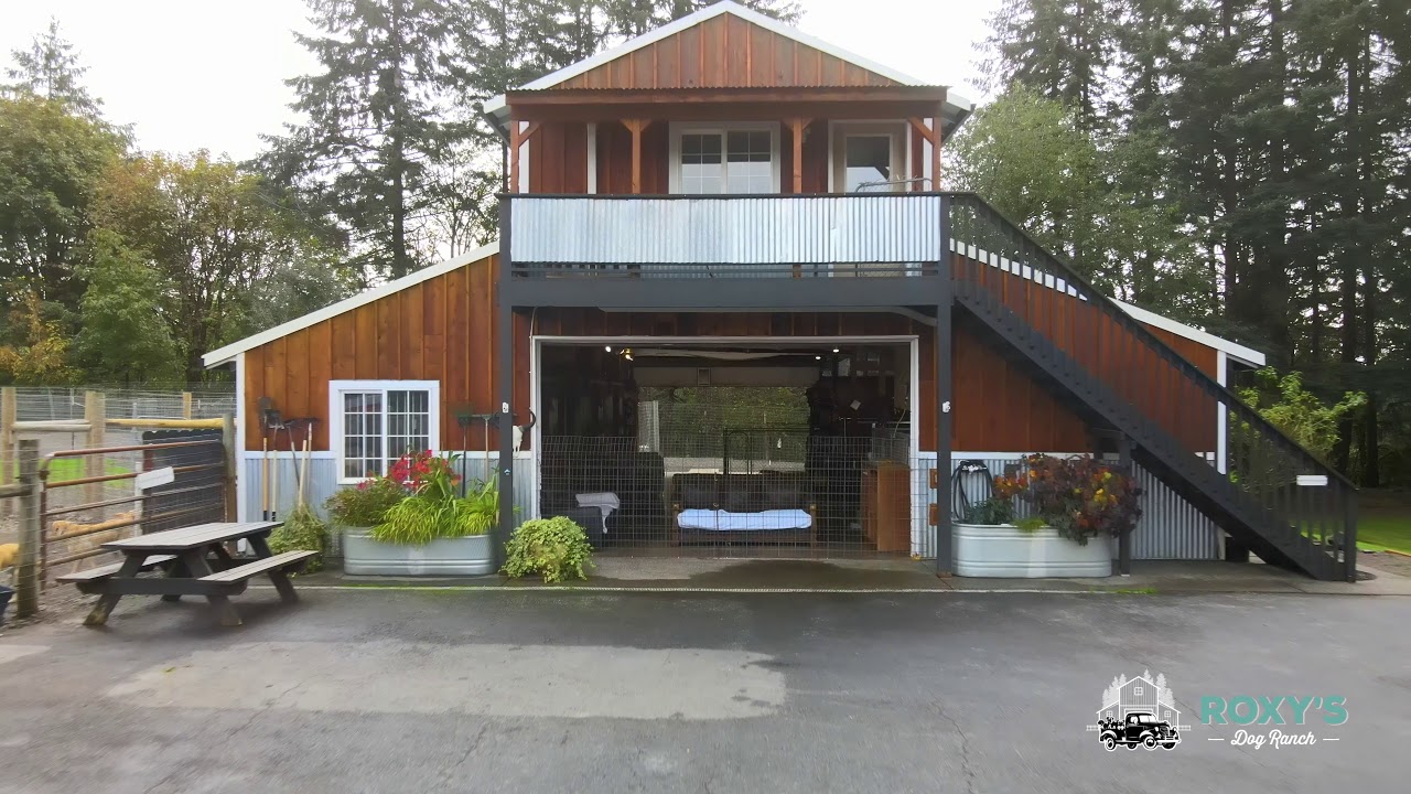 Roxy's Dog Ranch - YouTube