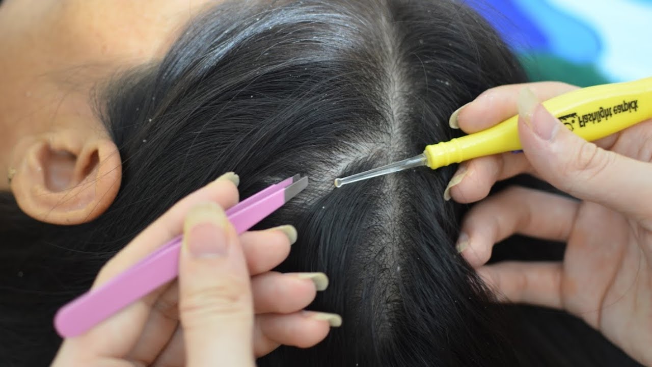 ASMR Hair Parting, Hair Scratch, Hair Brushing Real Person, Hair ...