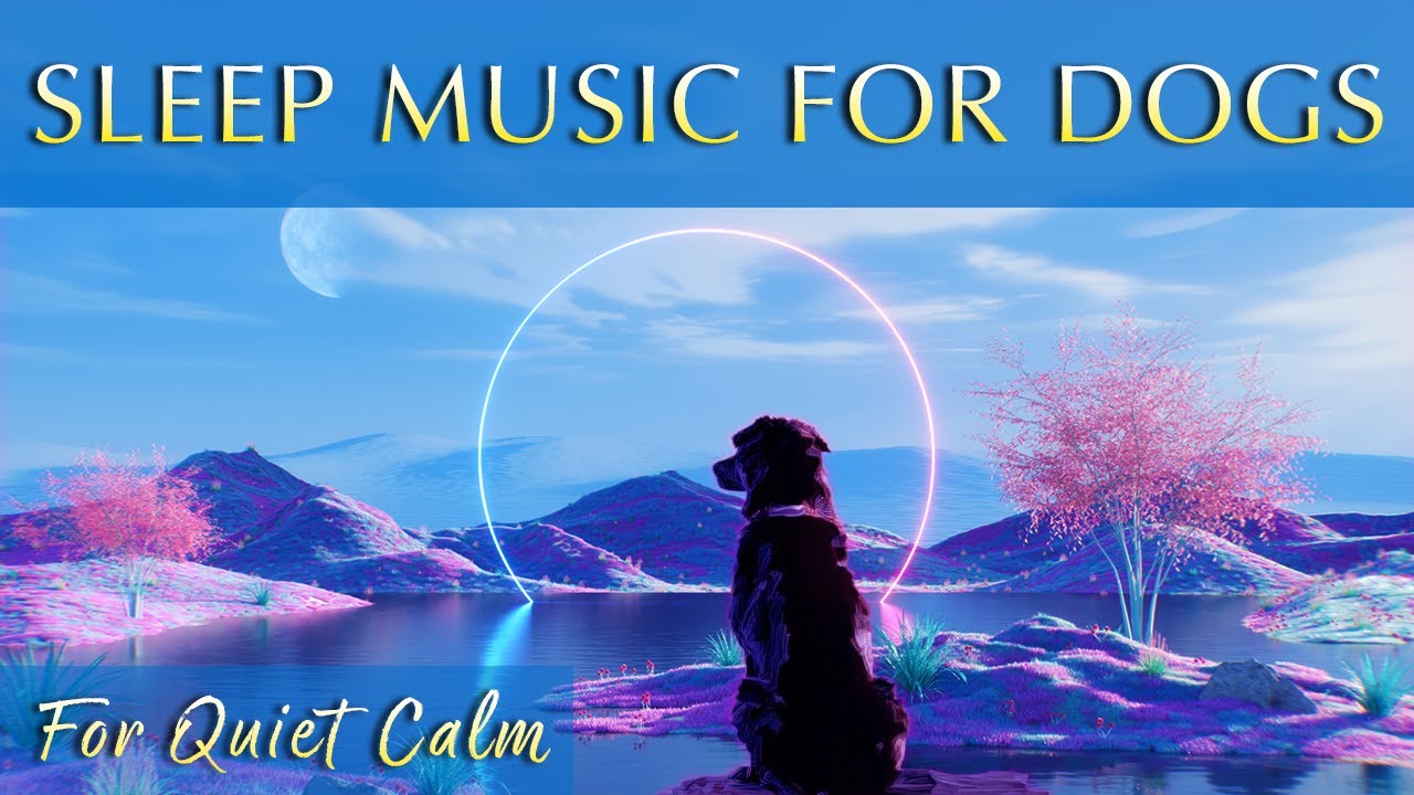 Dog Sleep Music – 12 Hours of Relaxing Sounds for Calm & Comfort - YouTube