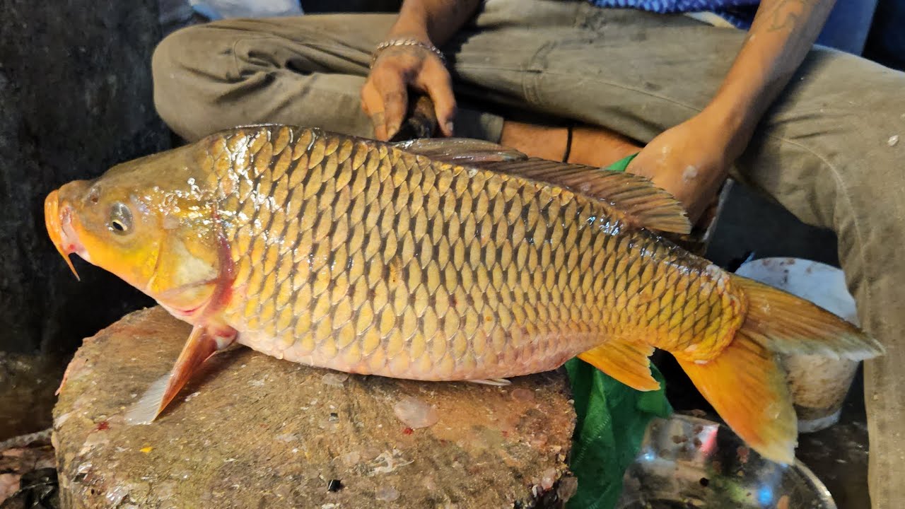 Ctg Cutting Fisher for(Chowk Bazar) 3kg Carpool fish big fish Fish ...