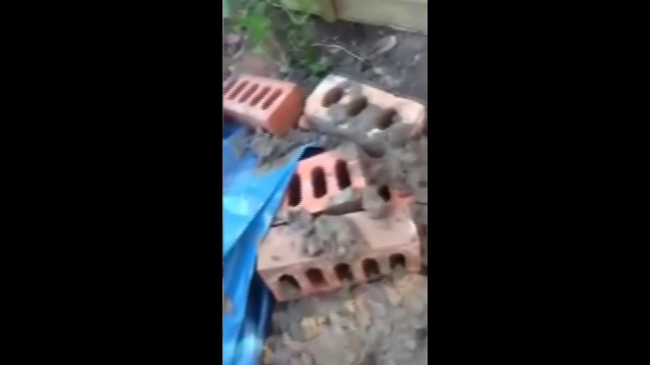 Punjabi family fighting over property - YouTube