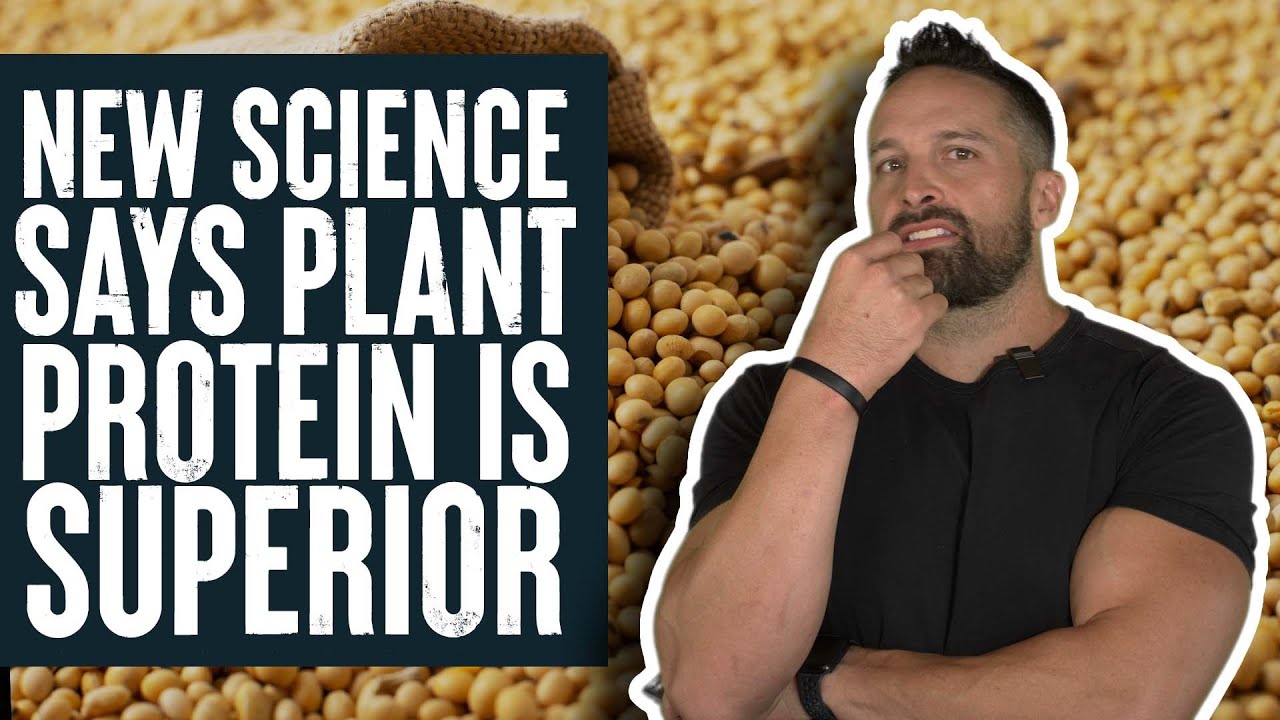 New Science Says Plant Protein is Superior | What the Fitness ...
