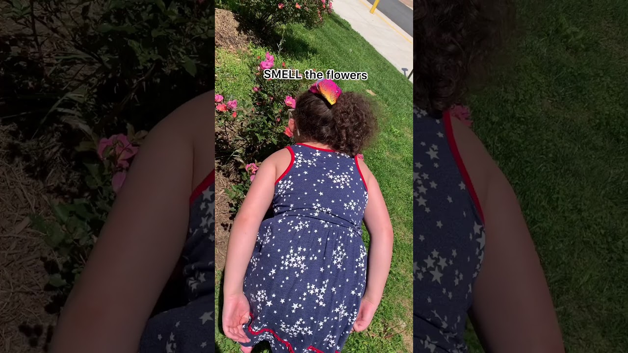 5 Senses Outdoor Walk YouTube 5-senses-outdoor-walk-youtube