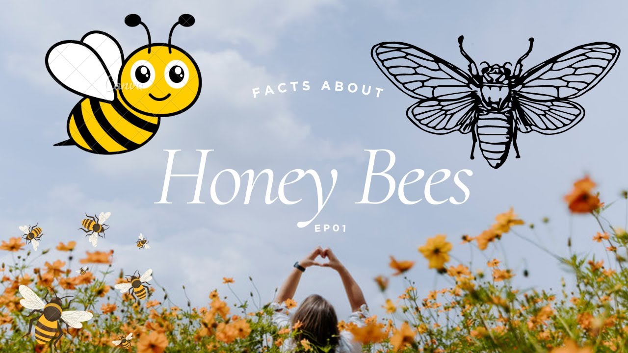 Eco System & Honeybee | What Would Happen If All the Bees Died? | Fact ...
