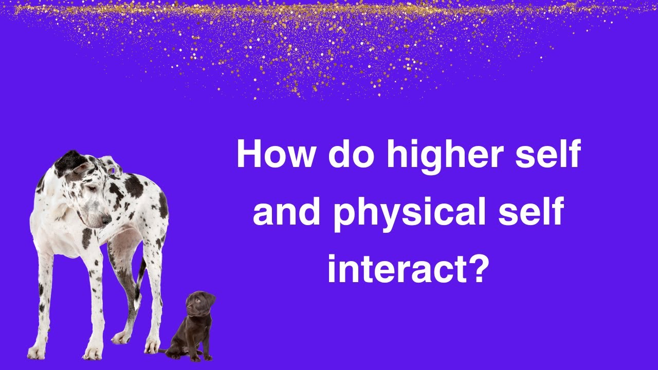 Relationship Between Lower And Higher Self, Explaining Abraham Hicks ...