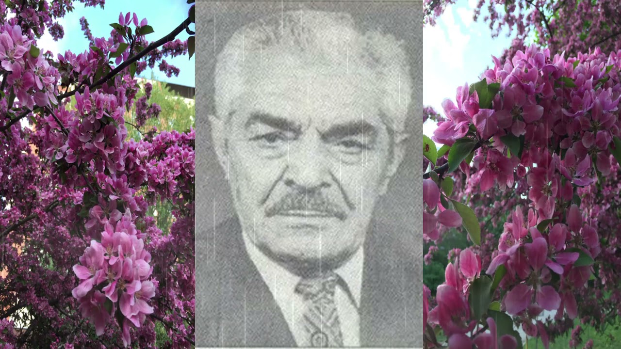 Fazl Mohammad Fazli - فضل محمد فضلی - YouTube