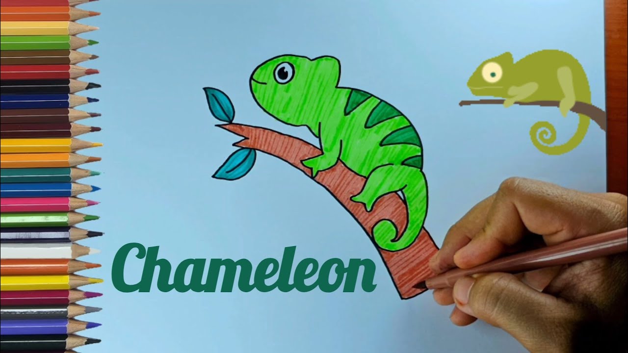 Learn how to draw Chameleon easy for kid - Chameleon drawing - YouTube