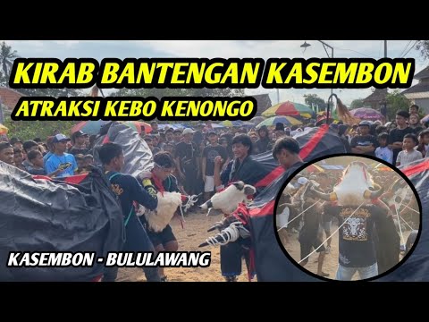 KIRAB BANTENGAN KASEMBON BULULAWANG, ATRAKSI KEBO KENONGO - YouTube