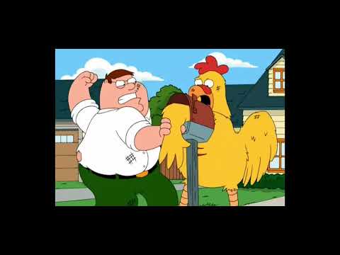 Family Guy: Peter griffin and the Big chicken fight! S5 E16 - YouTube