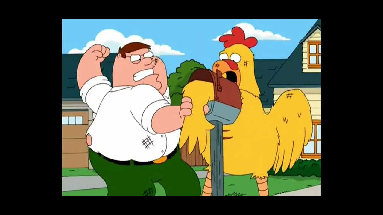 Family Guy: Peter griffin and the Big chicken fight! S5 E16 - YouTube