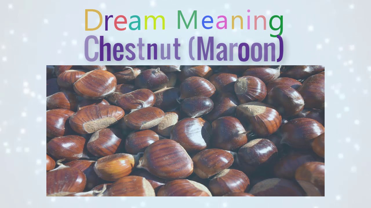 What Does it Really Mean When You Dream About Chestnut Maroon - YouTube