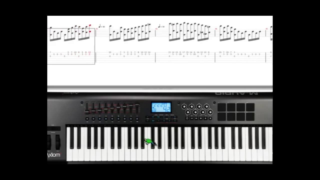 Mozart and the Frog - YouTube