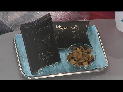 Pot for Your Pooch?