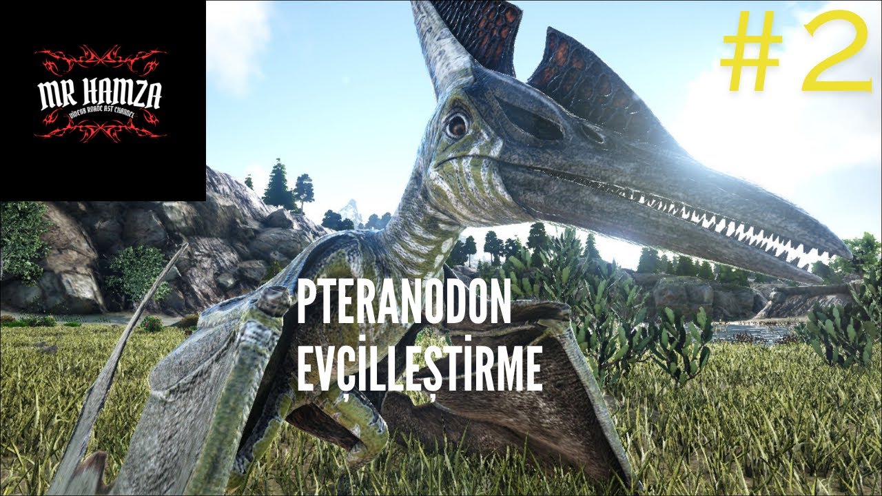 Pteranodon Evçilleştirme /Ark PF #2 - YouTube