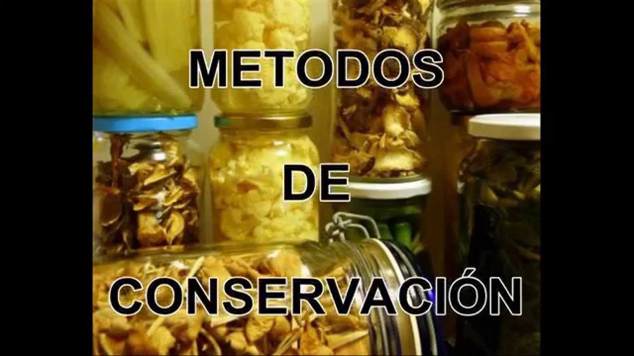 Conserva en Salmuera - YouTube