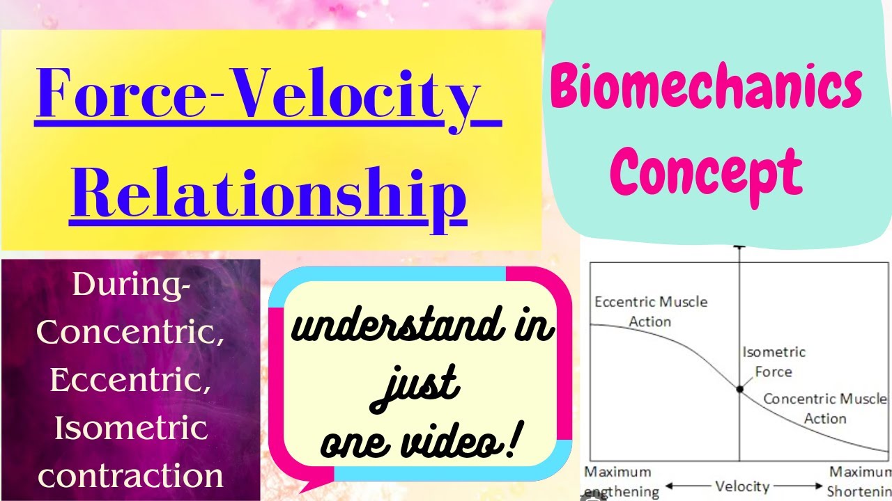 Force velocity relationship- biomechanics concept II Clear all your ...