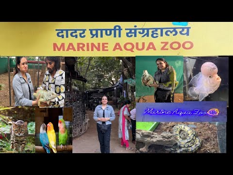 Marine Aqua Zoo | Dadar Zoo | पाणी प्राणीसंग्रहालय || Exotic Animals ...