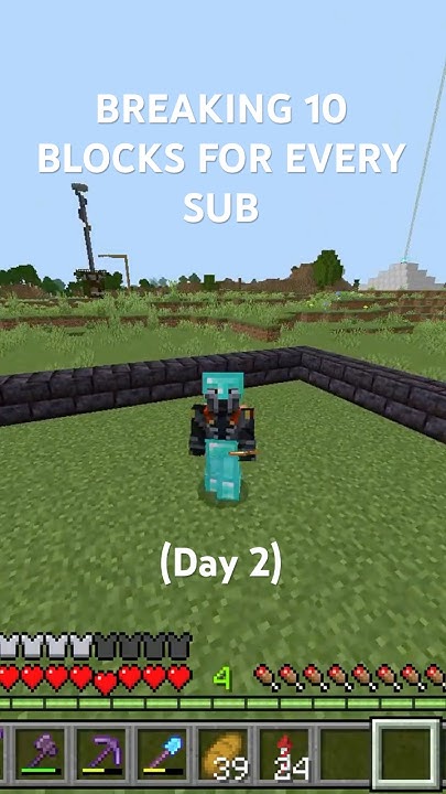 Destroying 10 Blocks for Every New Subscriber (Day 2) #minecraft #fyp #bedrockedition #subscribe ...