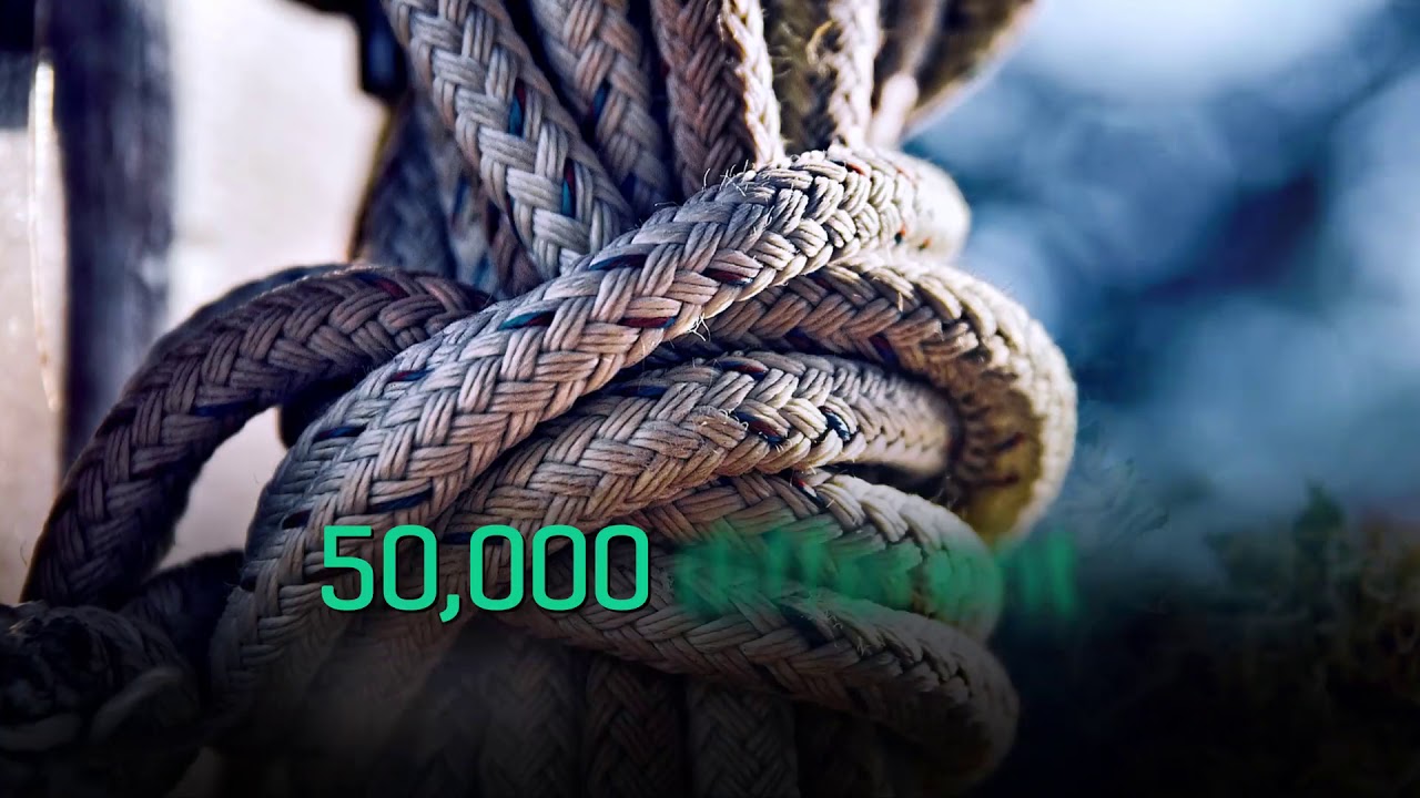 Planet of the Hemp - How the RIse of Hemp is Helping to Save the World ...