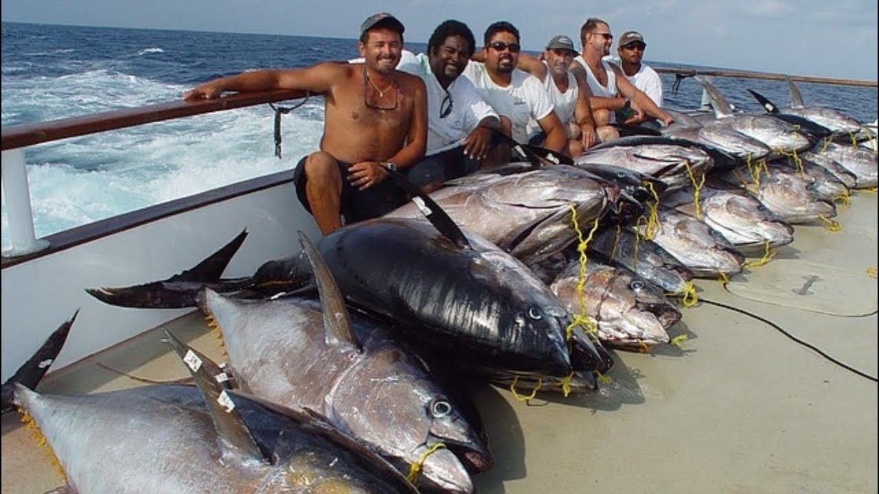 Tuna Fishing - Deep Sea Fishing for Tuna off Oahu - YouTube