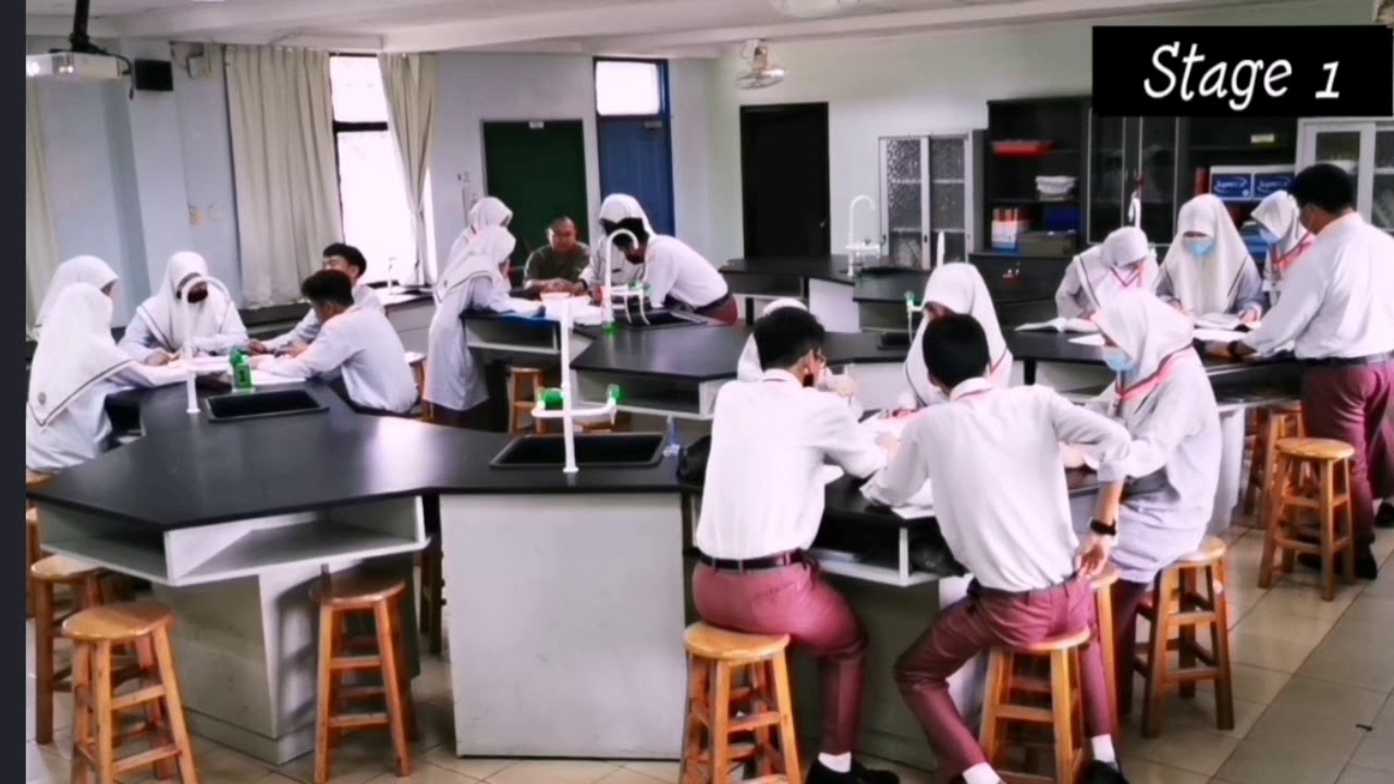 21st Century Strategy 3 Stray 1 Stay - YouTube