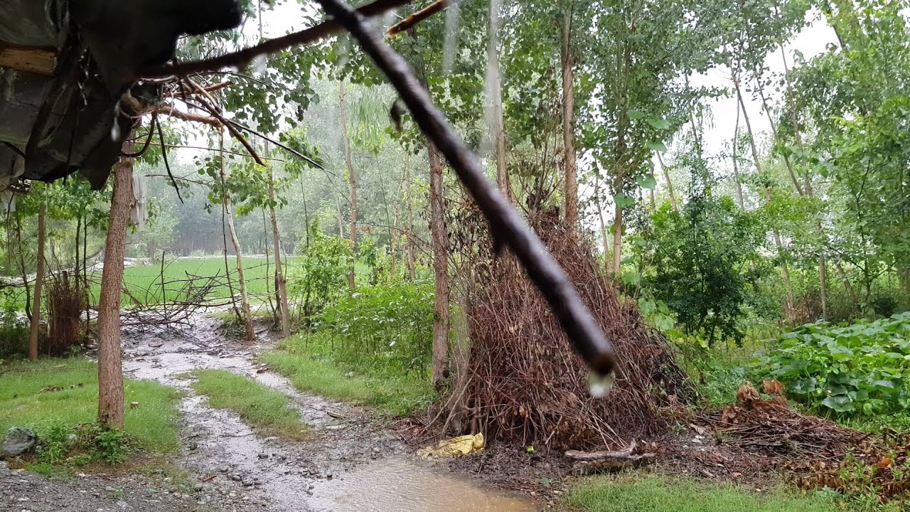 Rain Barish Ky bondy Beautiful Barsat ka Mosam! Rain status Short video ...