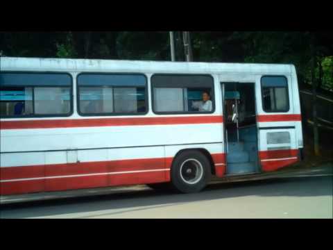 Bus Perum PPD Reguler - YouTube