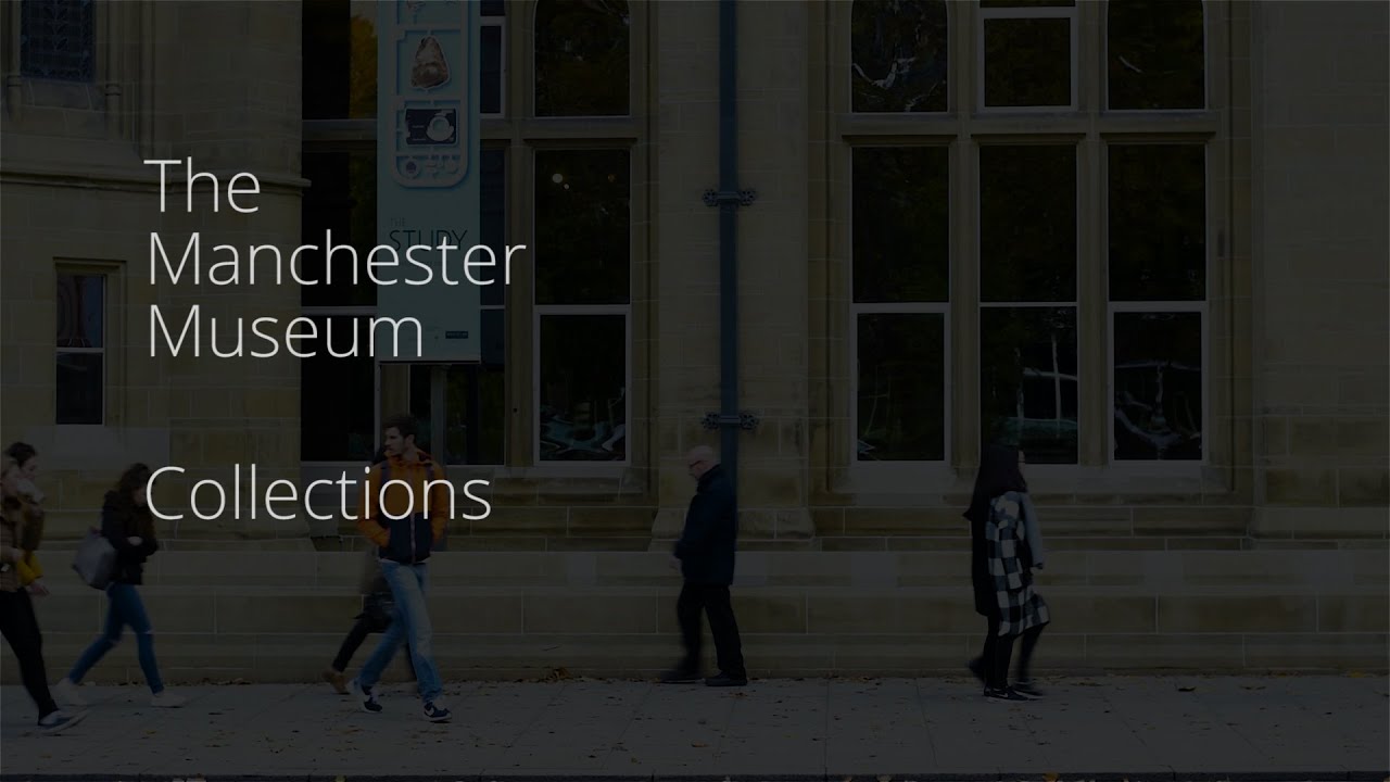 The Manchester Museum Collections - YouTube