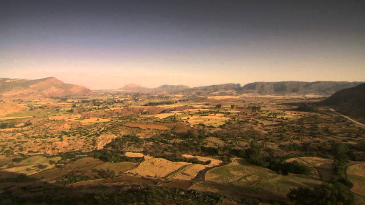 The stupifyingly simple solution to preventing drought and flooding ...