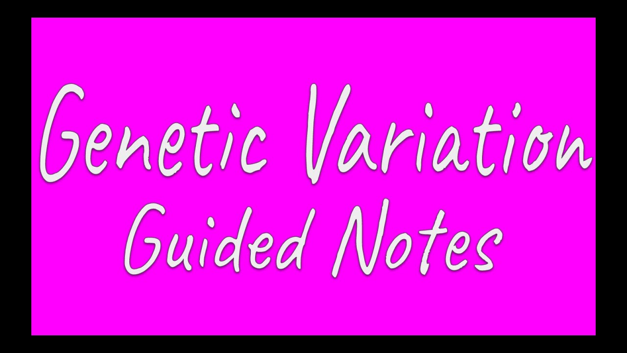 Genetic Variation Guided Notes - YouTube
