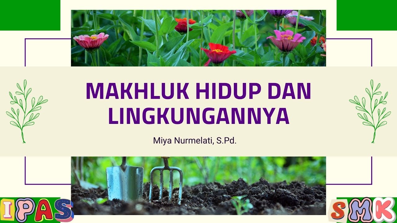 Ciri-ciri Makhluk Hidup dan Lingkungan Hidup || Makhluk Hidup ...