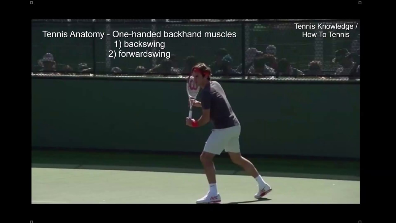 Tennis Anatomy - muscles One-handed backhand groundstroke Roger Federer ...