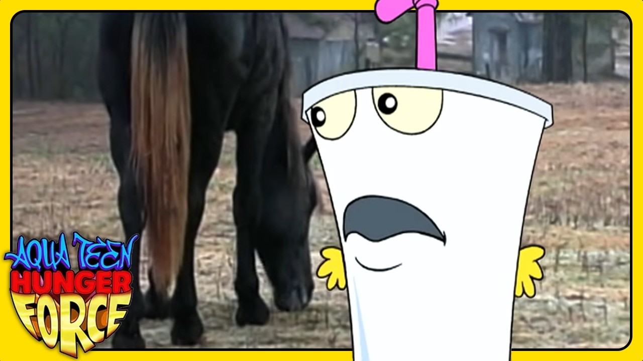 The Best (or Worst) of Master Shake: Season 1 | Aqua Teen Hunger Force ...