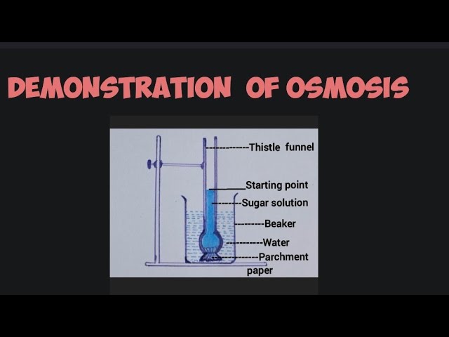 Osmosis Demonstration PurePro® Demonstration: Demo Unit