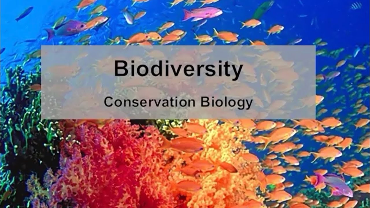Bio 122 Conservation Biology Chapter 2: Biodiversity - YouTube