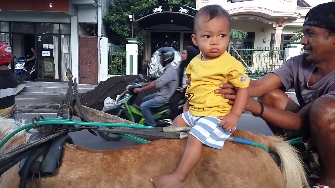 Naik delman bersama pak kusir - YouTube