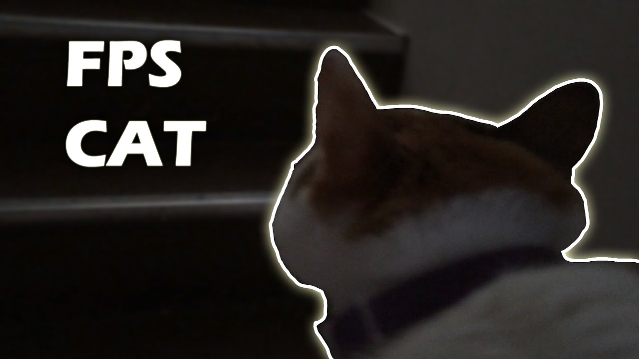 FPS Cat - YouTube