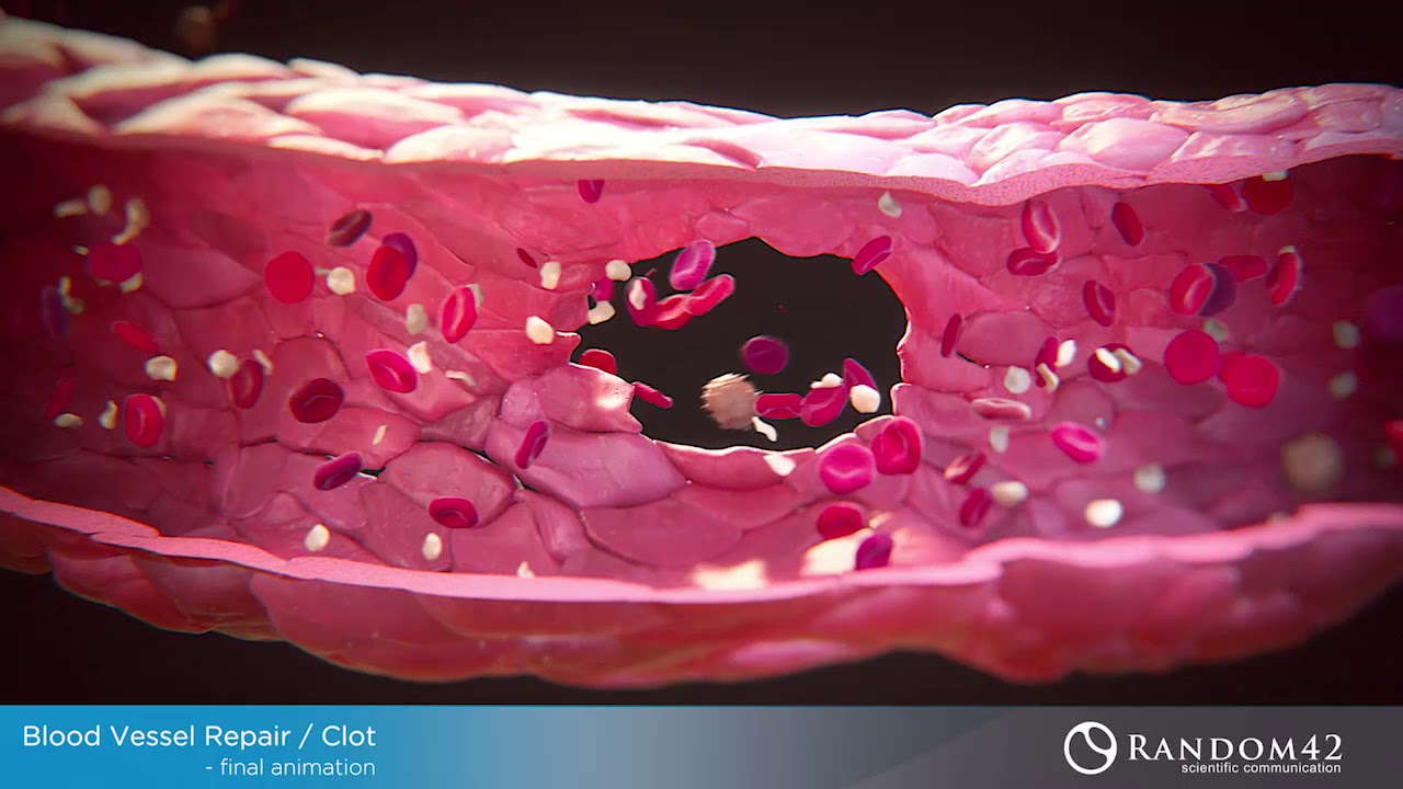 Blood Repair and Clotting Medical VFX : thinkingParticles - YouTube