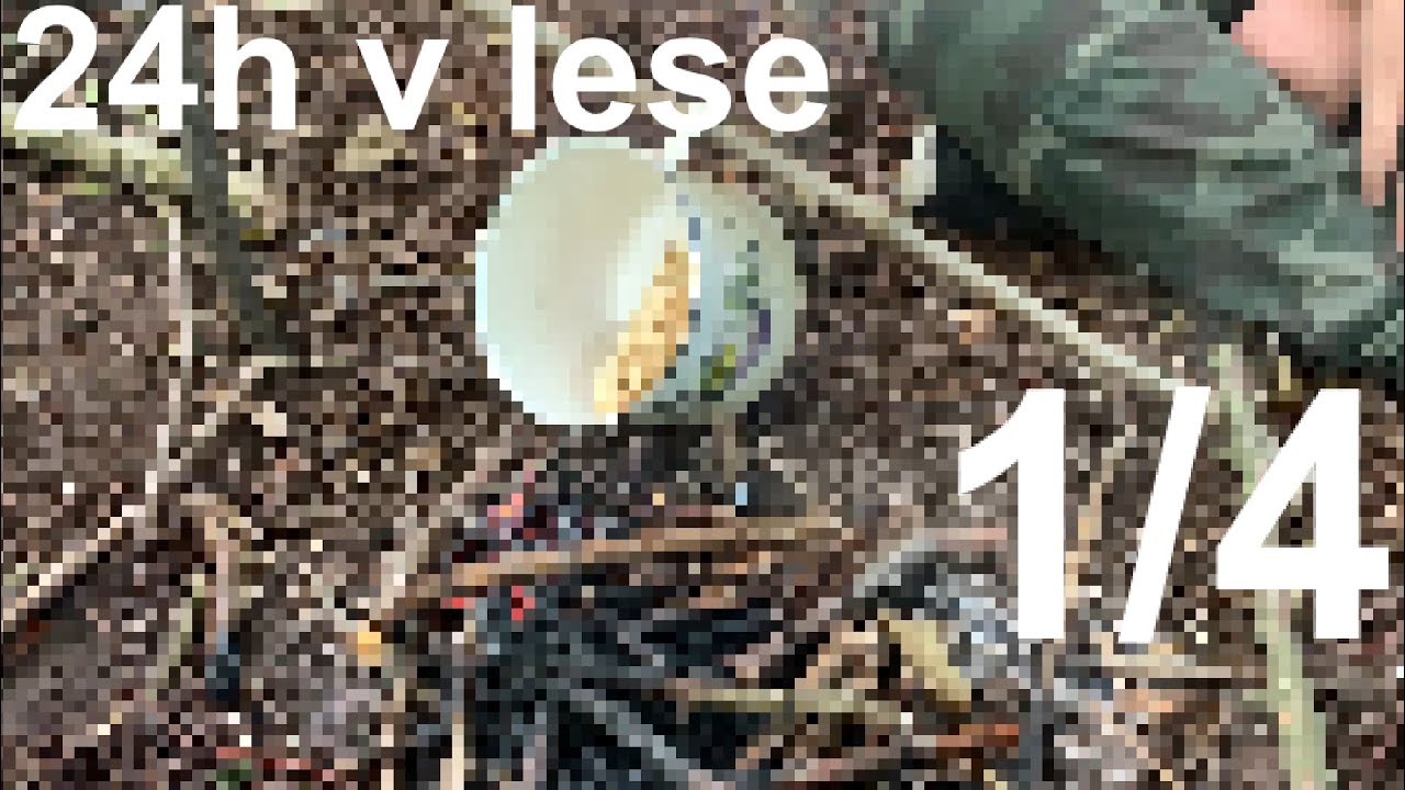 24h v lese - YouTube