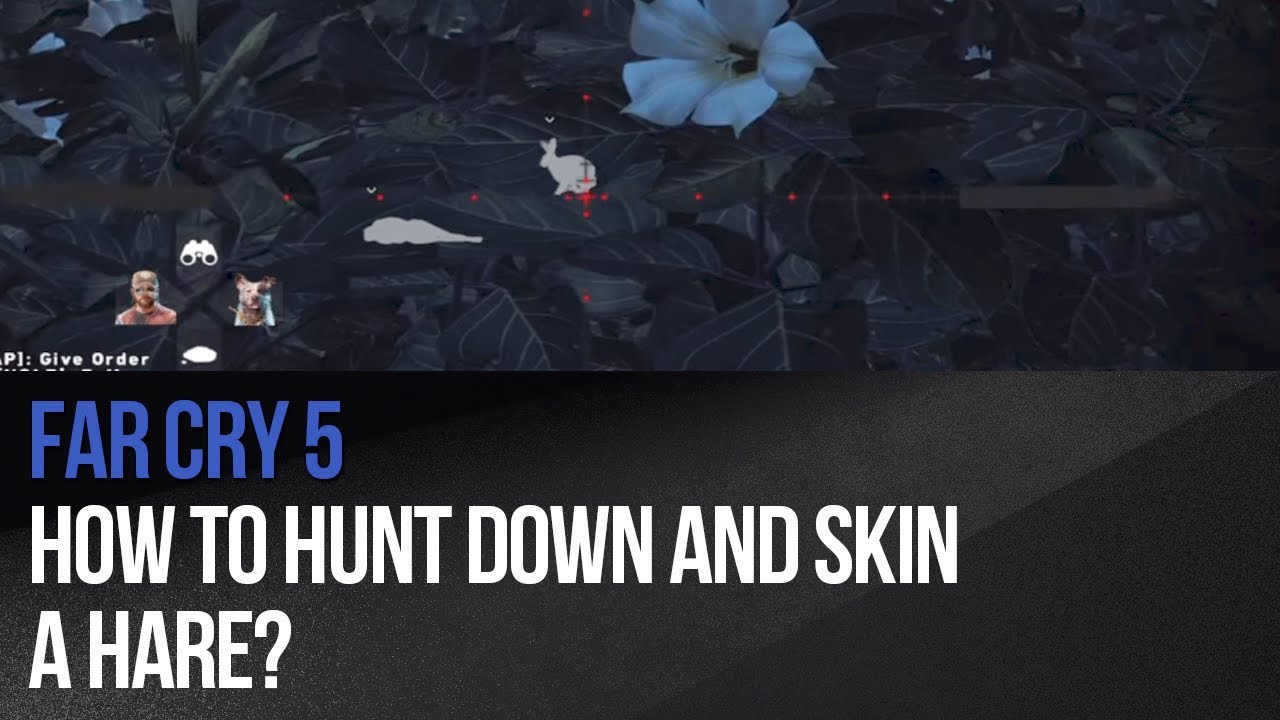 Far Cry 5 - How to hunt down and skin a hare? - YouTube
