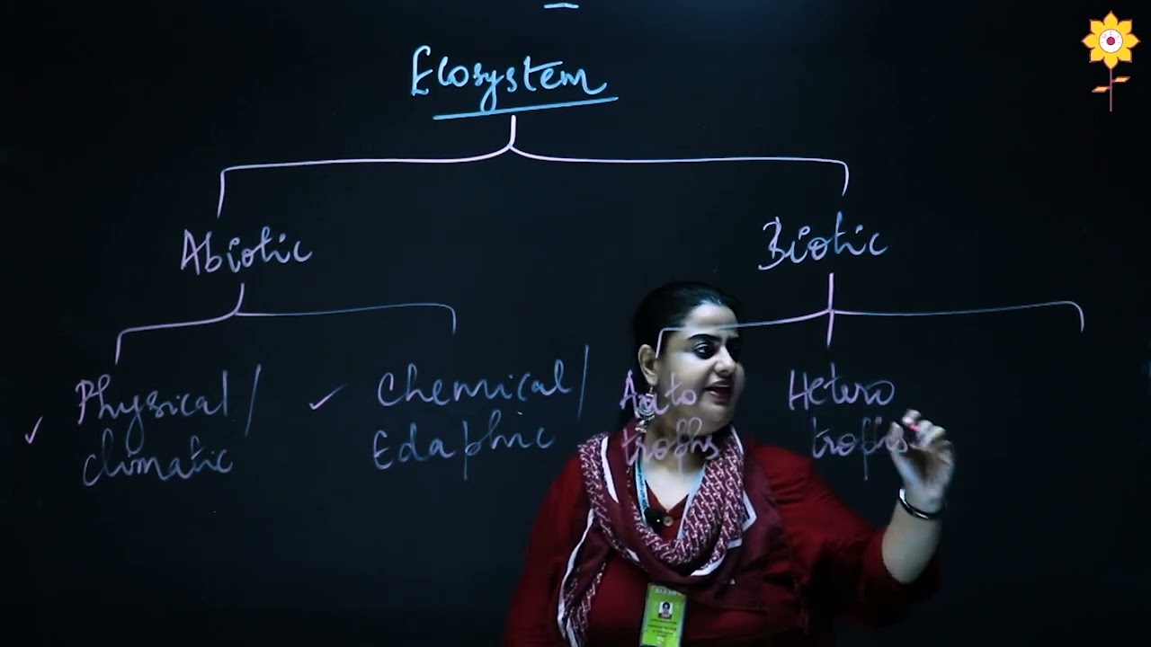 Structural and Functional unit of Environment | Prof. Remya M G ...