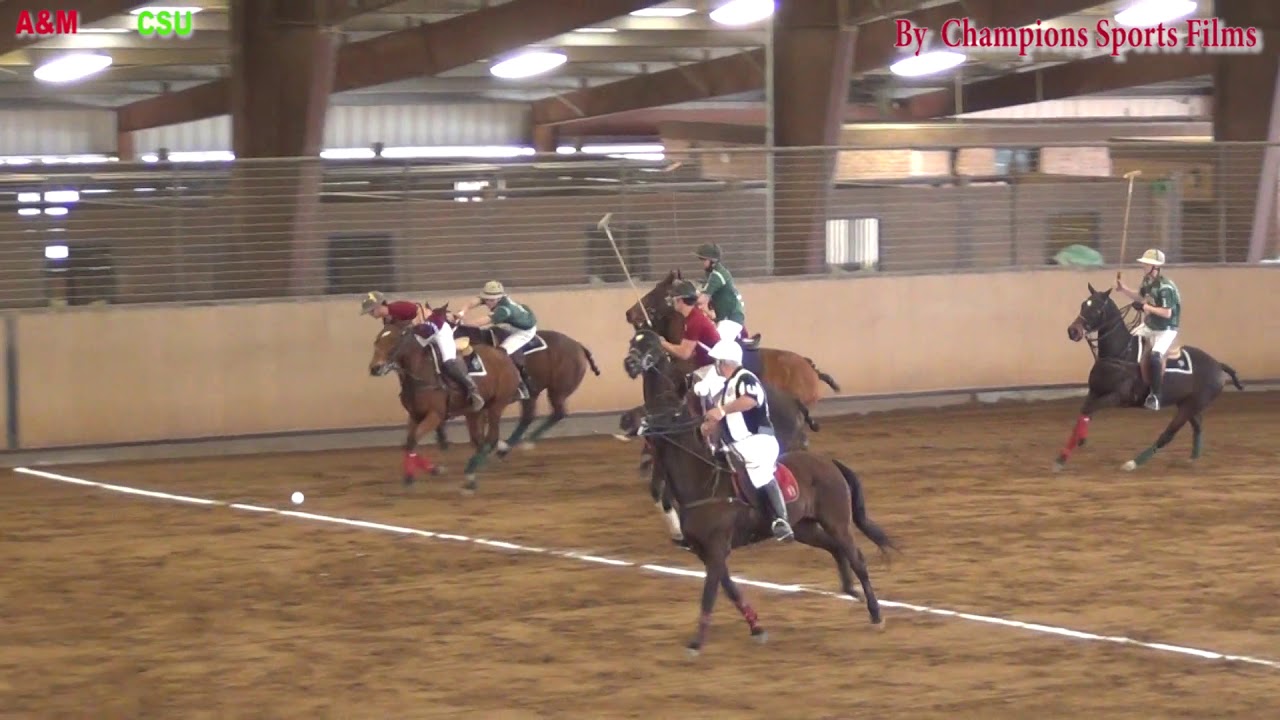 preview Texas A&M Polo College vs CSU Polo College March 9, 2019 - YouTube