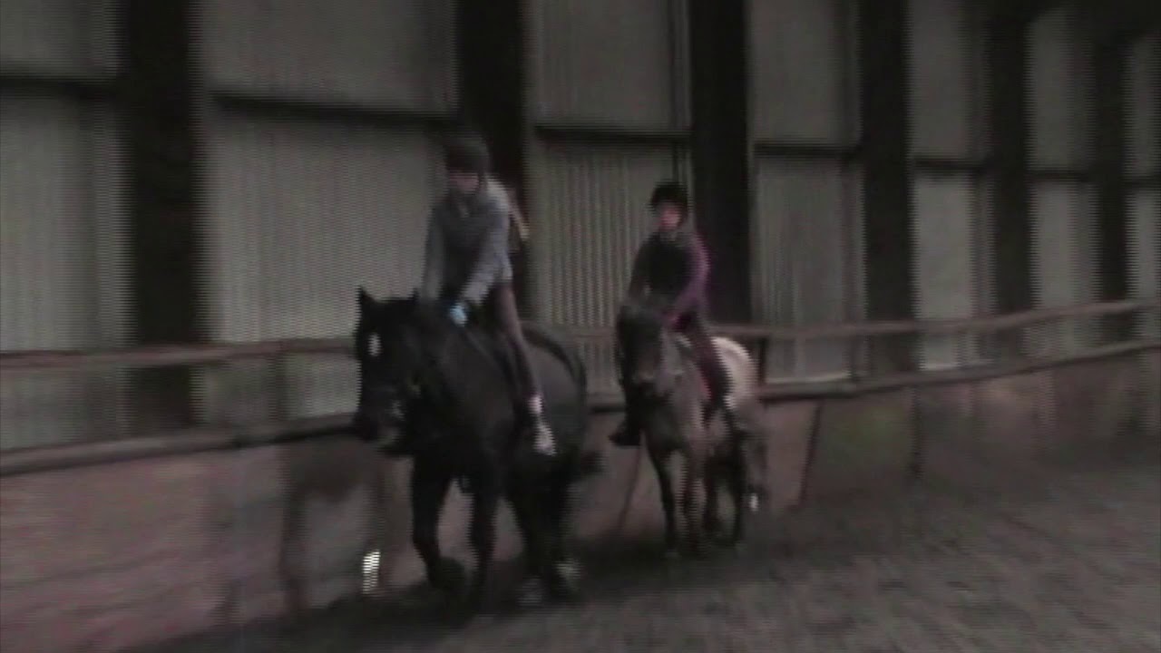 Riding Lesson 27 Feb 2020 - YouTube