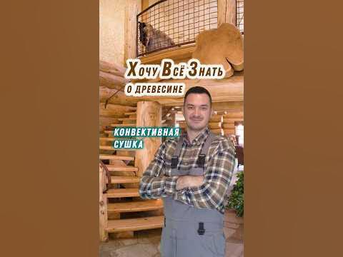 Конвективная сушка древесины. Что это? ХВЗ #наука #дерево # ...
