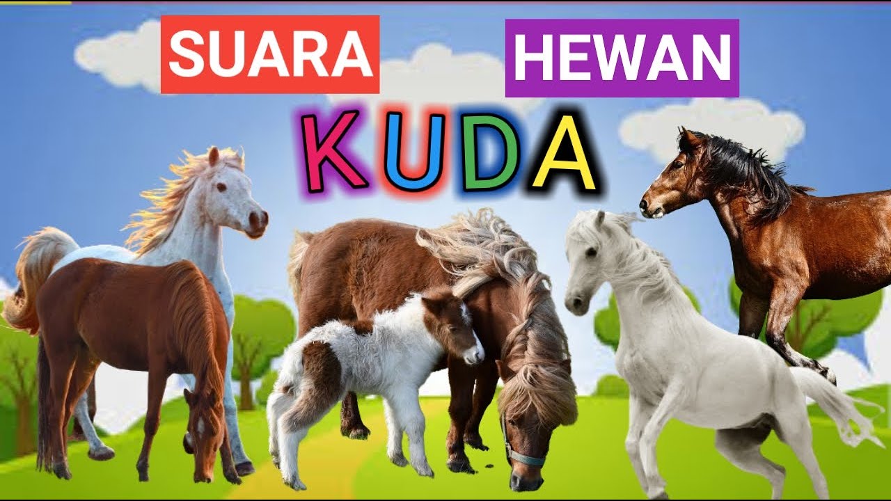 Suara Hewan Kuda | Suara Hewan Untuk Anak - Anak | Animals buddies ...