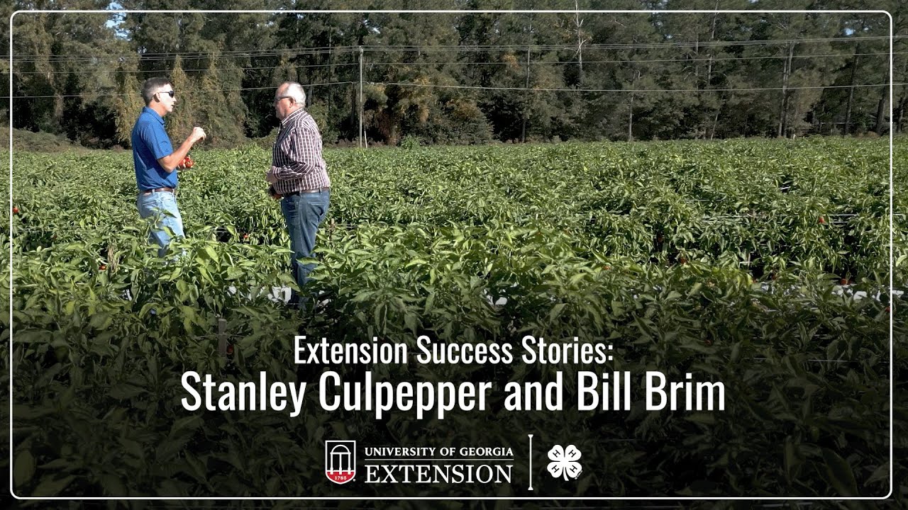 Extension Success Story: Stanley Culpepper and Bill Brim - YouTube