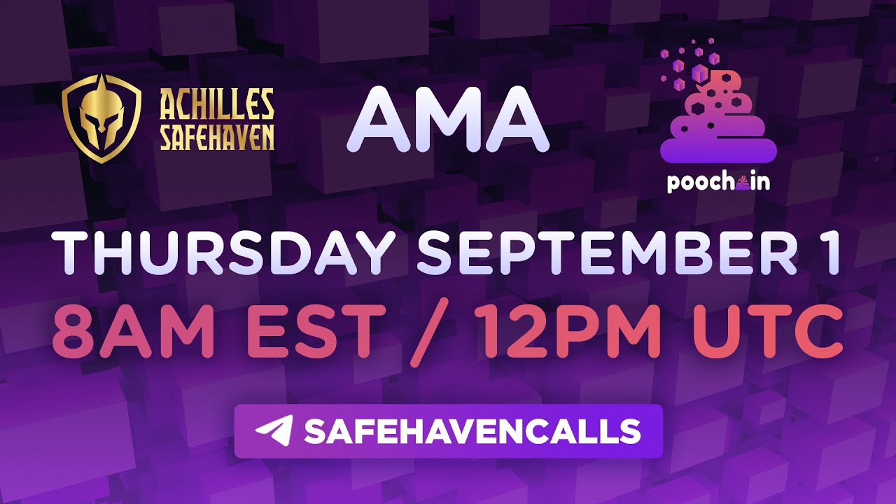 The team from PooChain joined the Haven today - YouTube