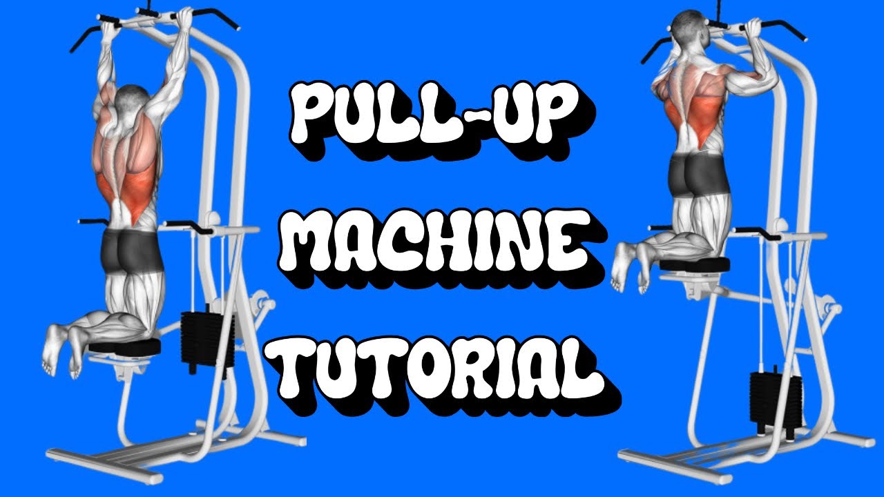 How to Use the Assisted Pull-up Machine for Beginners (in 1 minute ...
